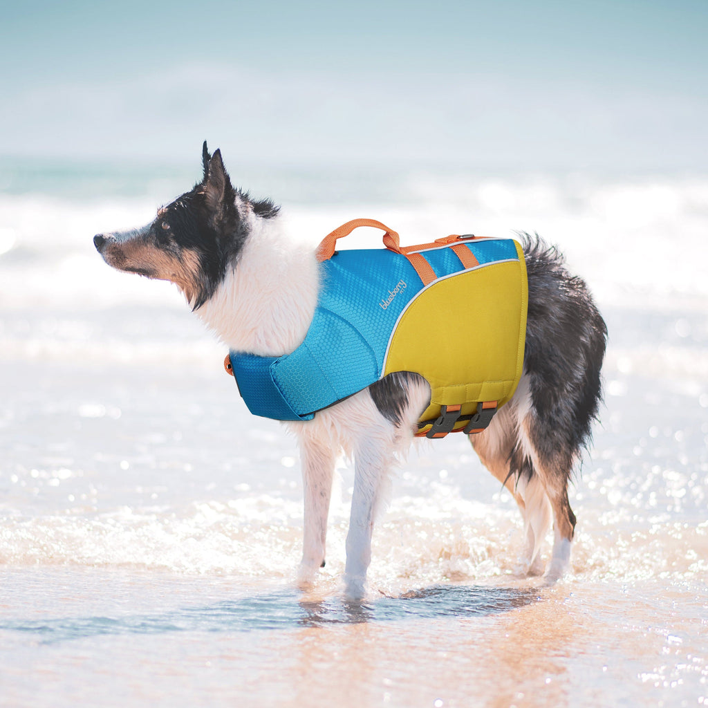 Reflective Dog Life Jacket & Water Safety Gear for Pets | Blueberry Pet