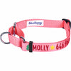Explore a Wide Range of Pet Supplies & Matching Products at Blueberry