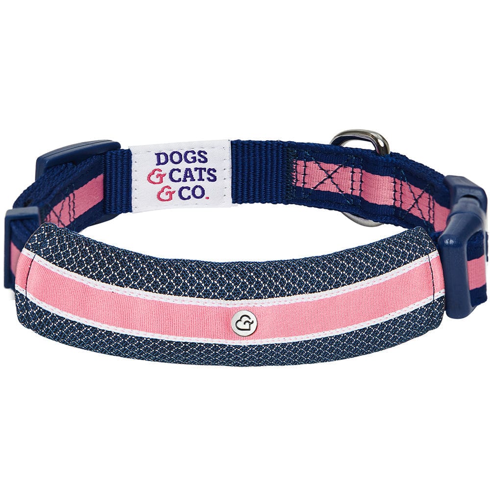 Dogs And Cats And Co 2in1 Dog Collar With Padded Cover | Blueberry Pet