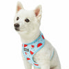 Explore a Wide Range of Pet Supplies & Matching Products at Blueberry ...