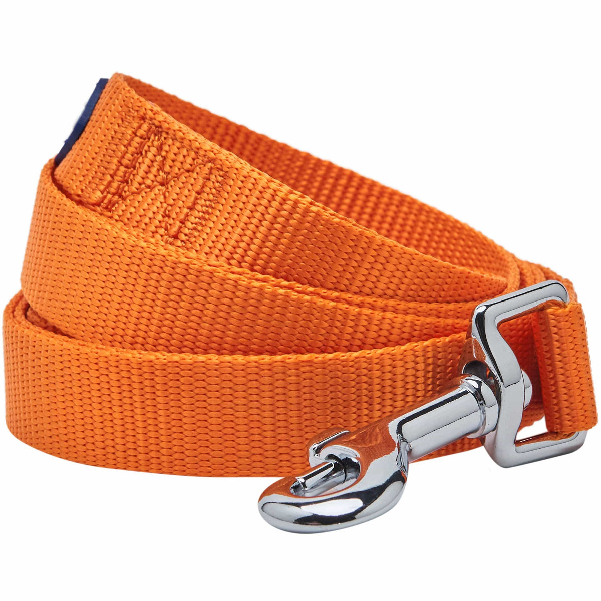 Classic Solid Color Dog Leash for Everyday Use | Blueberry Pet