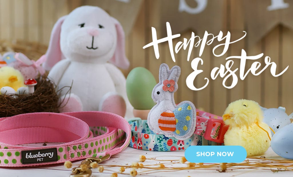 Explore a Wide Range of Pet Supplies & Matching Products at Blueberry ...