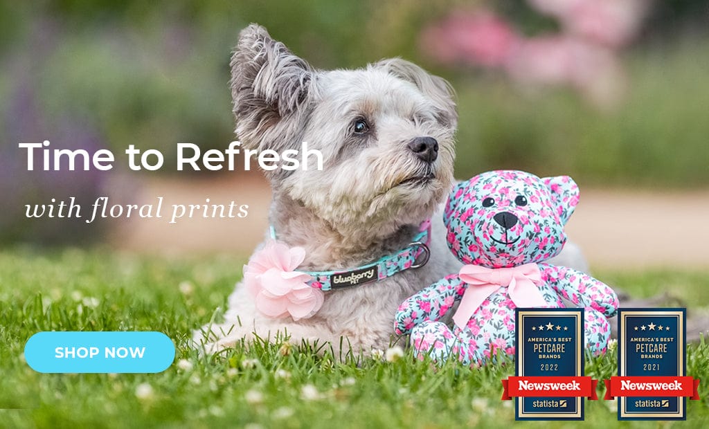 Pet Supplies, Pet Accessories and Matching Pet Lover Products Online ...