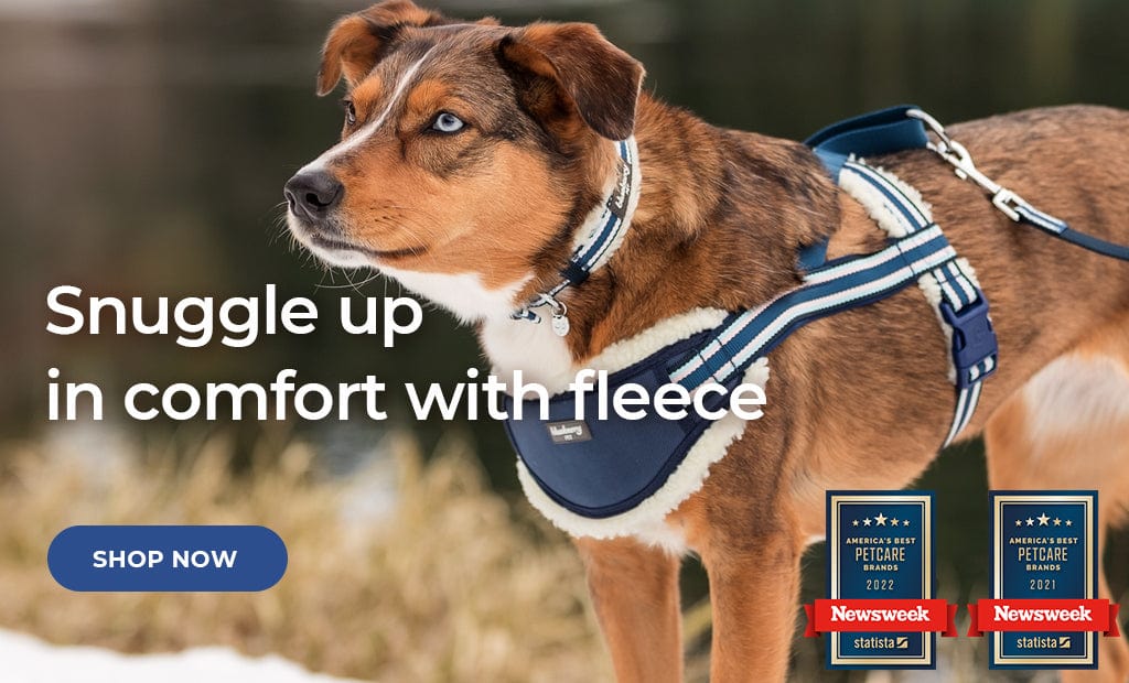 Pet Supplies, Pet Accessories and Matching Pet Lover Products Online ...