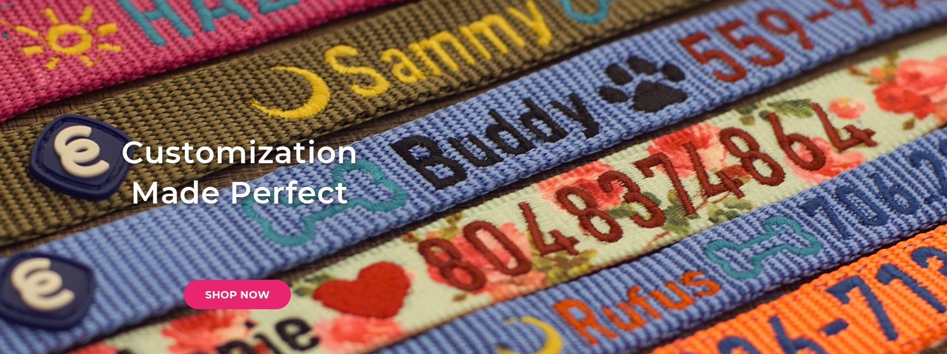 Explore a Wide Range of Pet Supplies & Matching Products at Blueberry ...