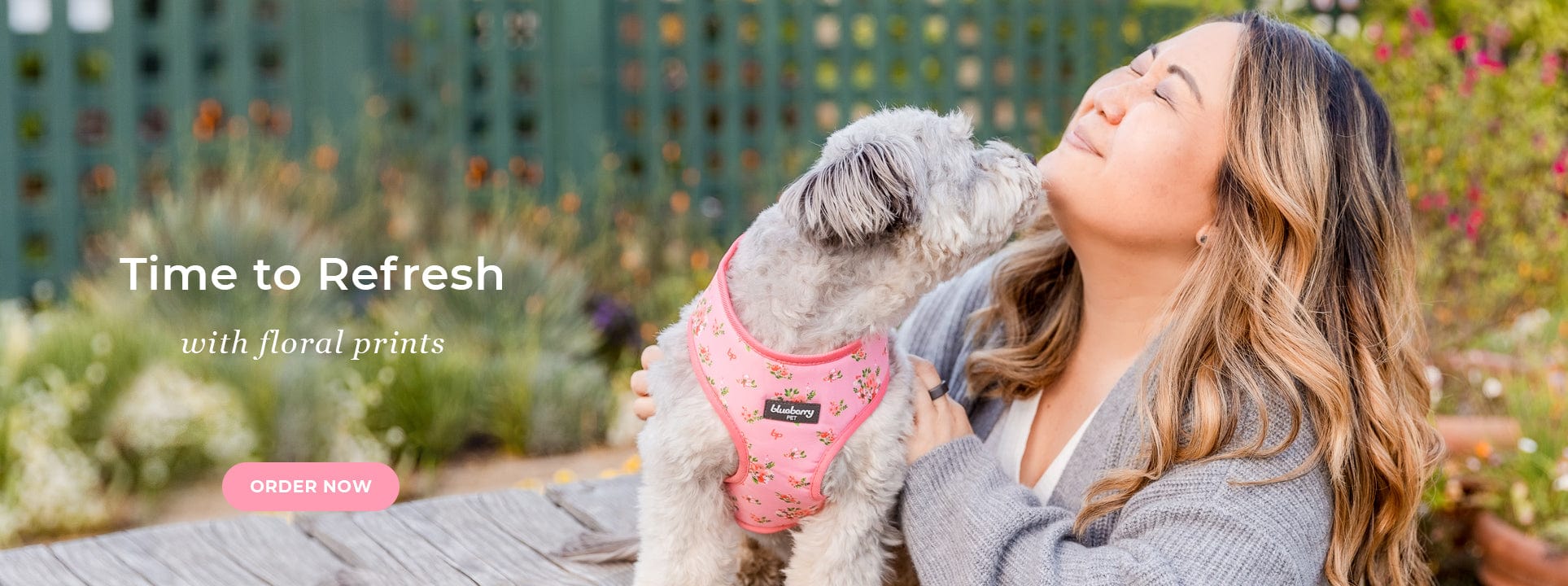 Explore a Wide Range of Pet Supplies & Matching Products at Blueberry ...