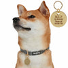 Pet Supplies, Pet Accessories and Matching Pet Lover Products Online ...