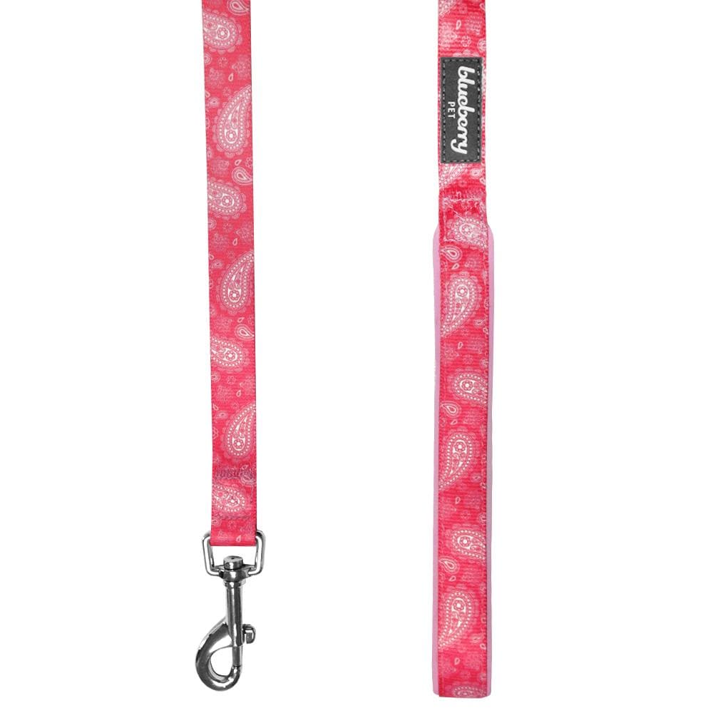 Paisley Print Dog Leash For Fashionable Daily Walks | Blueberry Pet