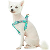 Pet Supplies, Pet Accessories and Matching Pet Lover Products Online ...