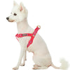 Pet Supplies, Pet Accessories and Matching Pet Lover Products Online ...