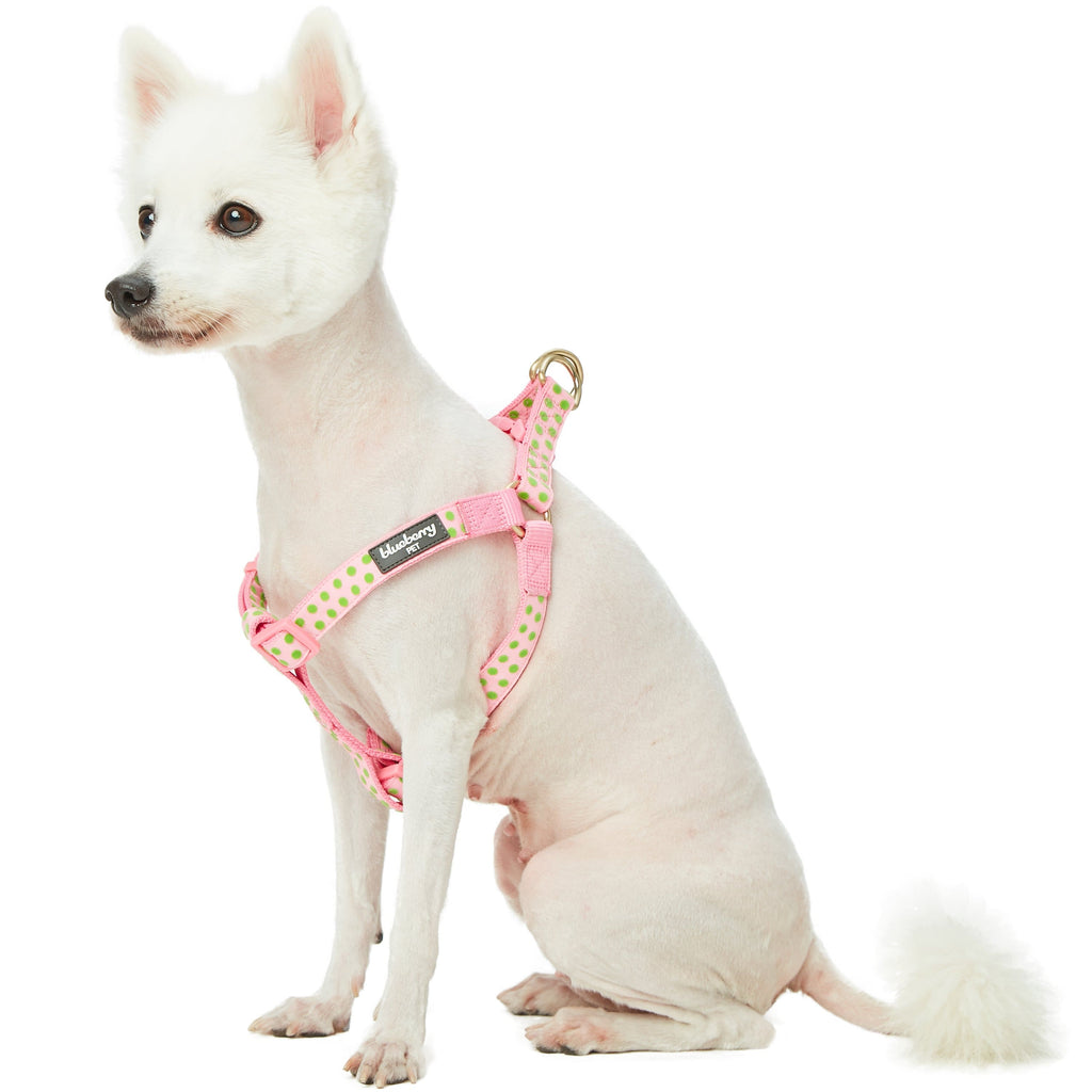 Soft Touch Dotted Velvet Dog Harness Pink Green Chic Comfort ...