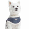 Pet Supplies, Pet Accessories and Matching Pet Lover Products Online ...