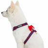 Pet Supplies, Pet Accessories and Matching Pet Lover Products Online ...