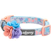 Explore a Wide Range of Pet Supplies & Matching Products at Blueberry ...