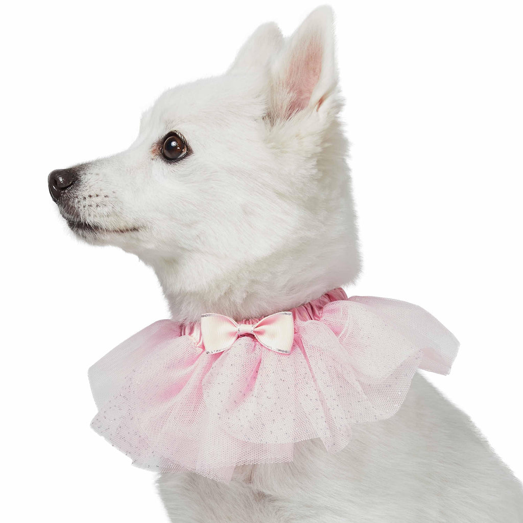 My Little Princess Lace Dog Collar with Bowtie Accessory – Blueberry Pet