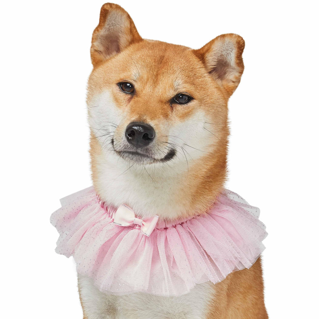 My Little Princess Lace Dog Collar with Bowtie and Mesh | Blueberry Pet