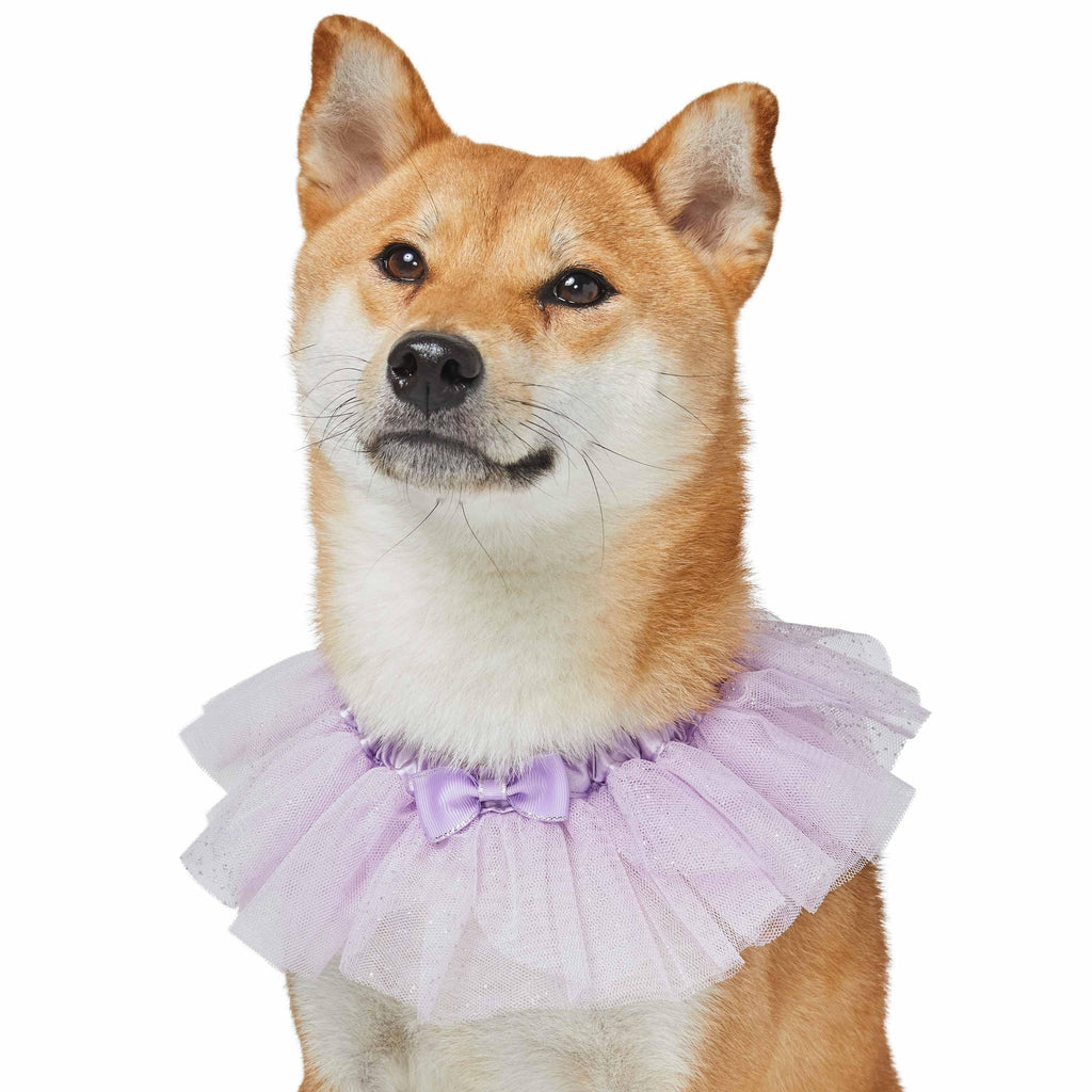My Little Princess Lace Dog Collar with Bowtie Accessory – Blueberry Pet