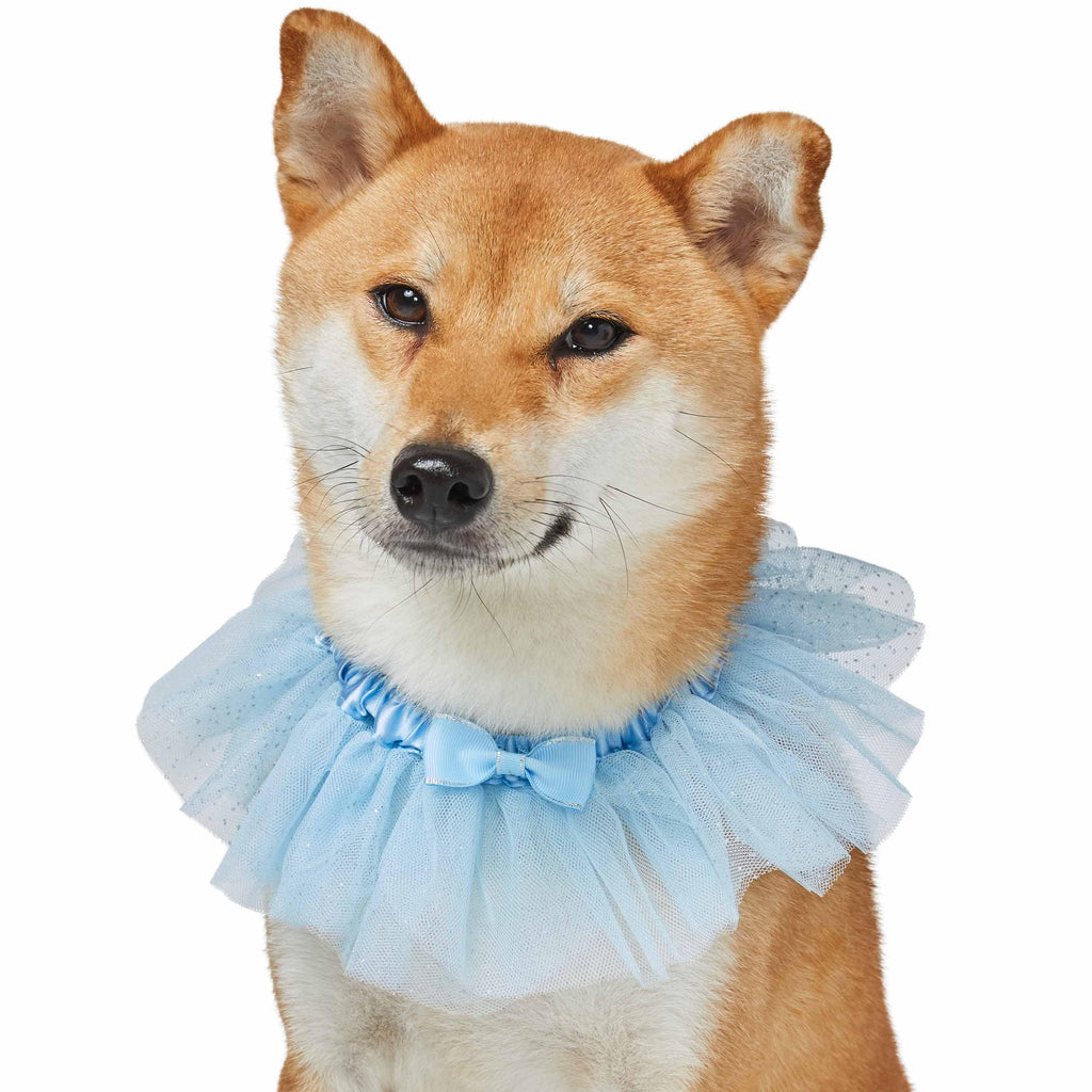 My Little Princess Lace Dog Collar with Bowtie Accessory – Blueberry Pet